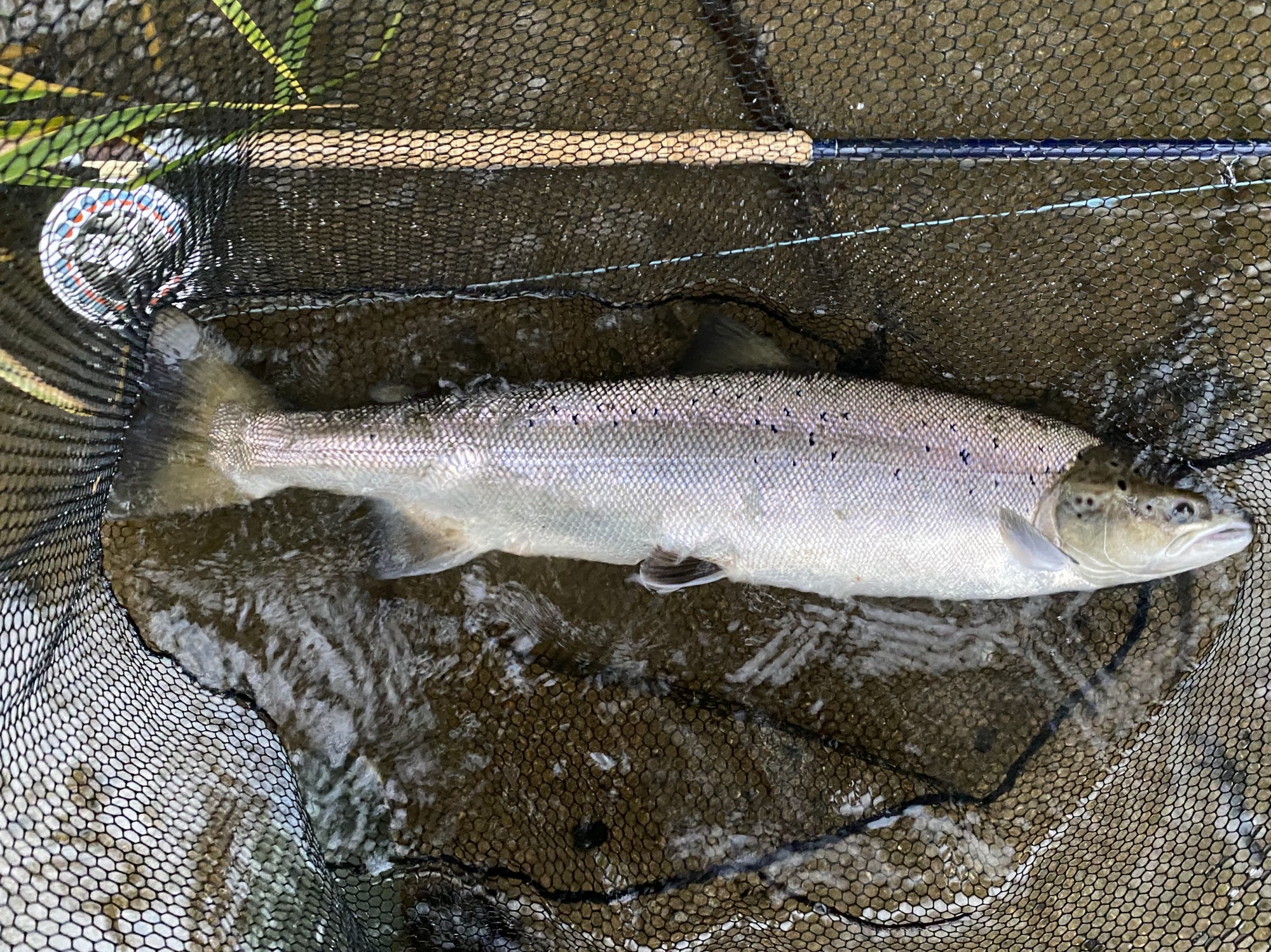 What Is The Best Time Of Year To Fish In Scotland