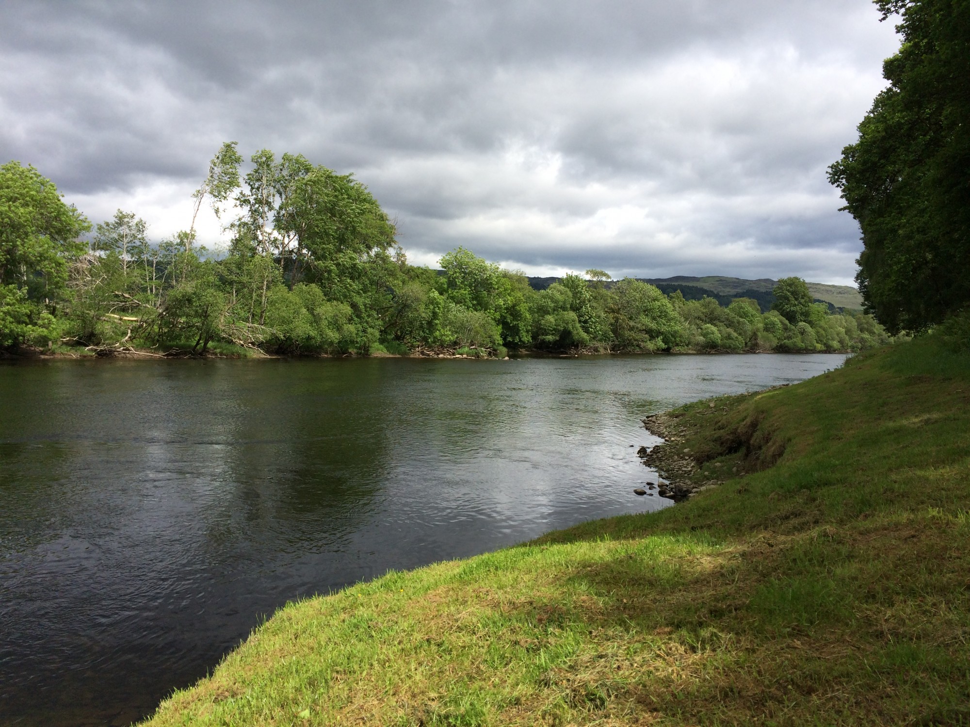 Are There Pike In The Scottish Rivers