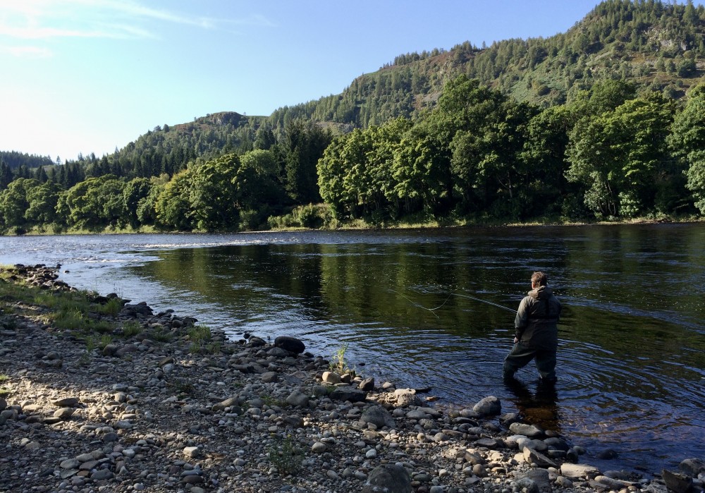 How To Book River Tay Salmon Fishing