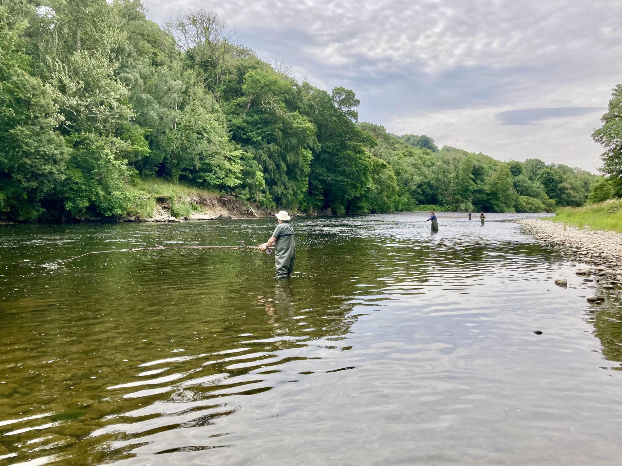 River Tweed Salmon Fishing