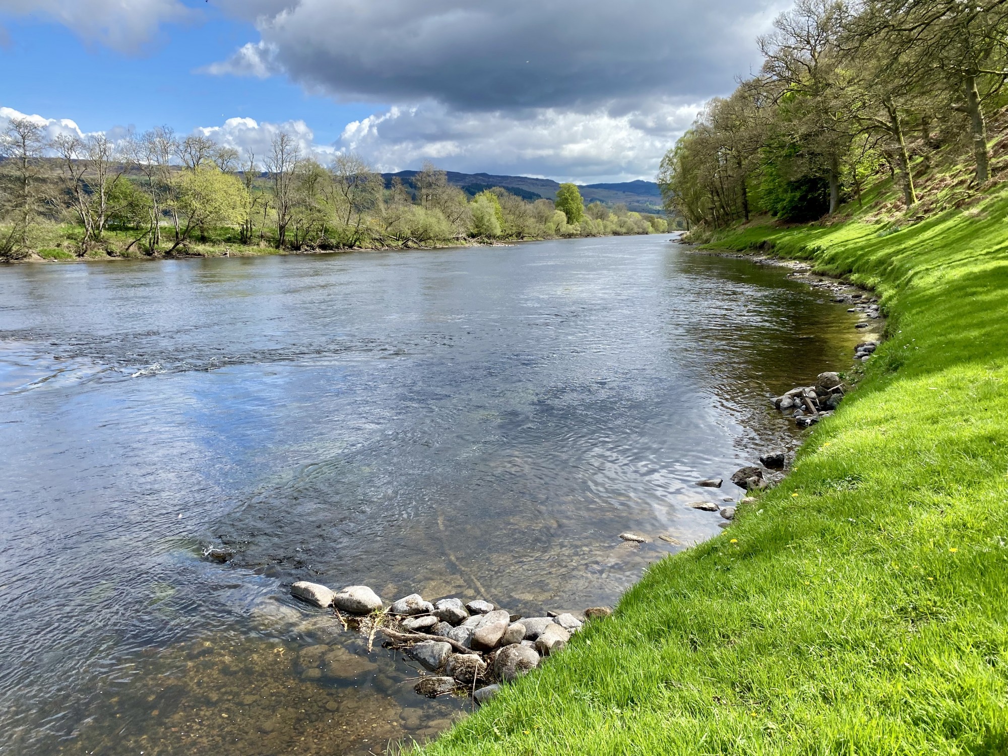 How To Approach A Salmon River