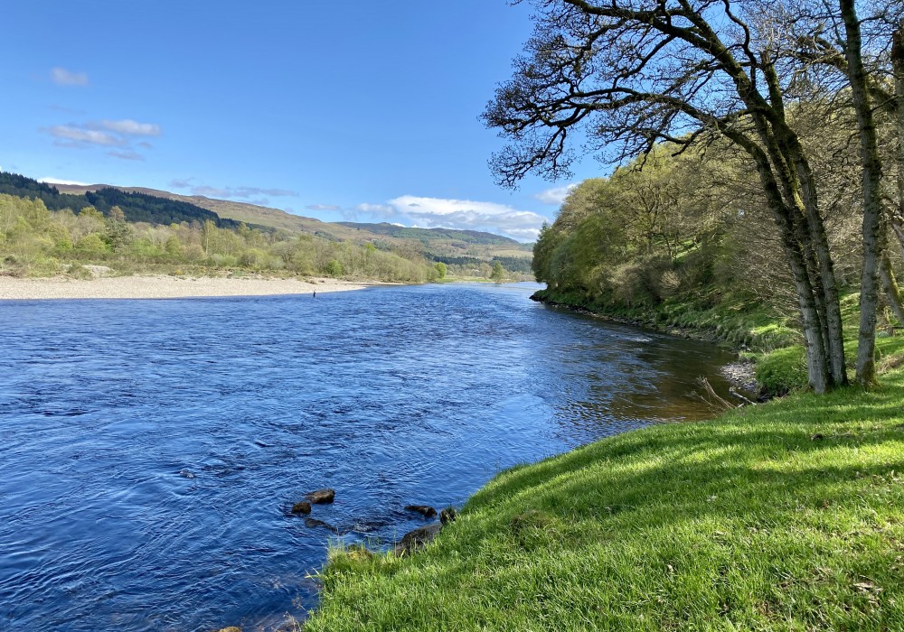River Tay Salmon Fishing