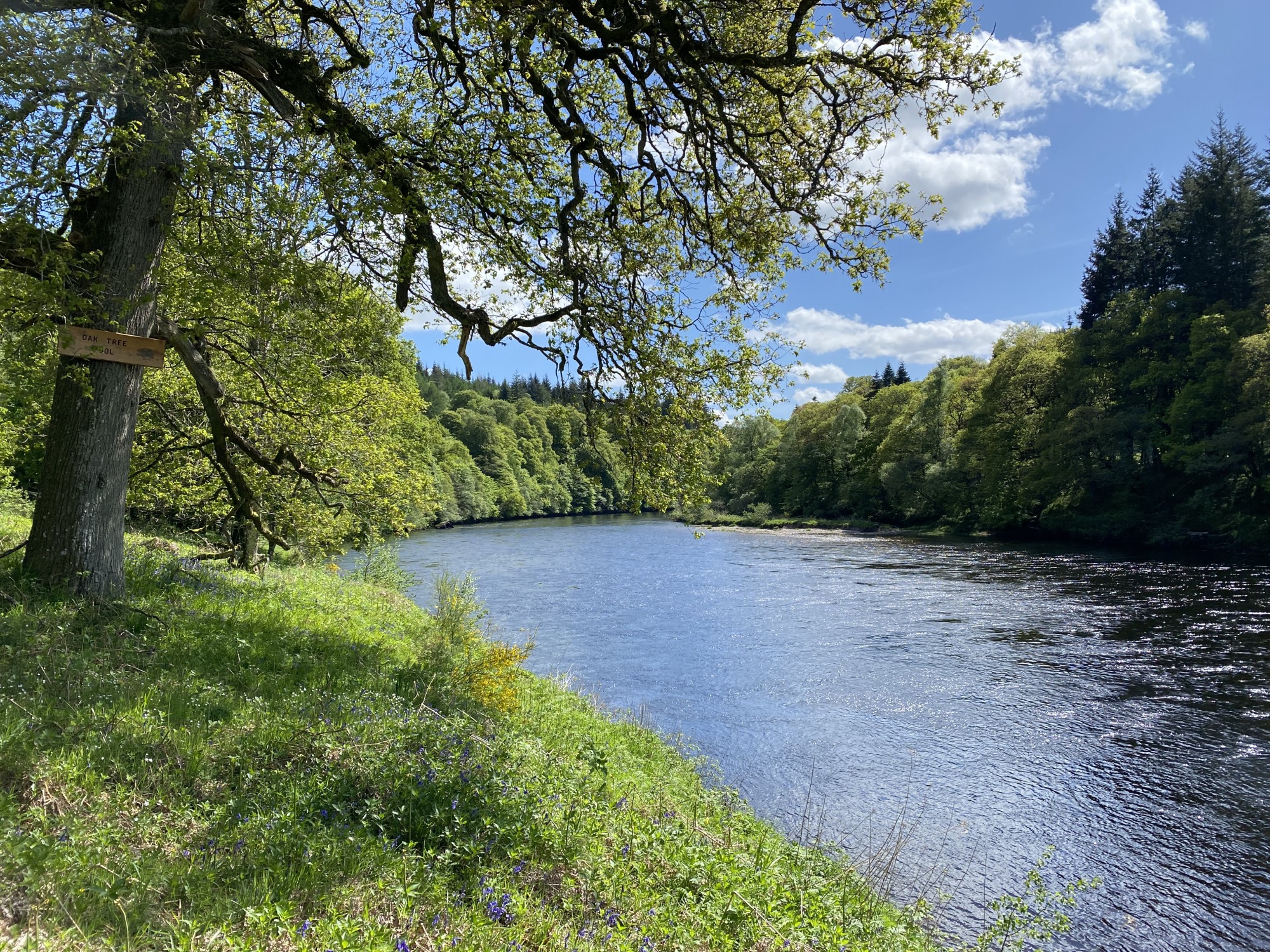 How To Tune Yourself Into A Salmon River