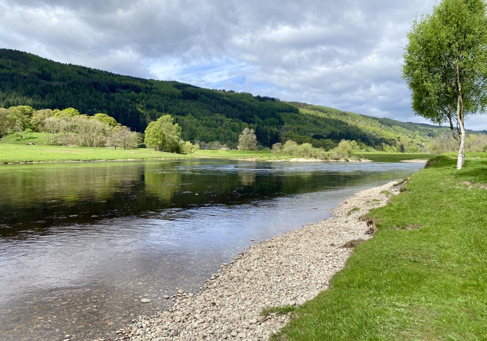 Do I Need A Fishing Licence In Scotland