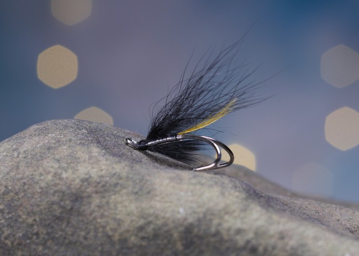 What Colour Of Salmon Fly To Use