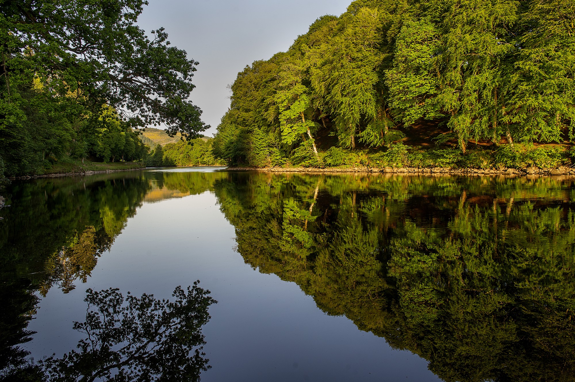 Are There Pike In The Scottish Rivers