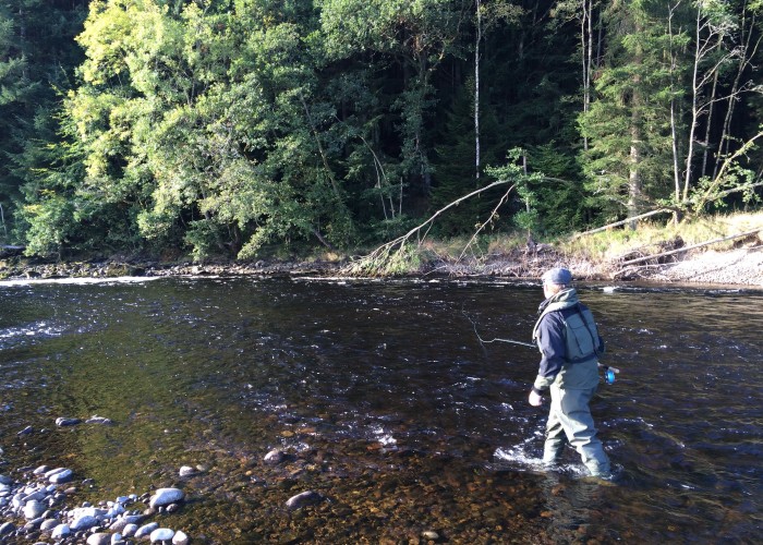 How To Fish Through a Salmon Pool