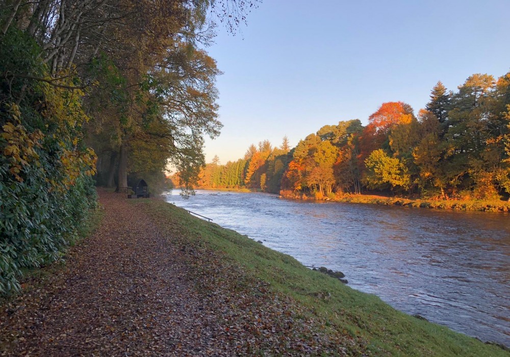 River Dee Salmon Fishing