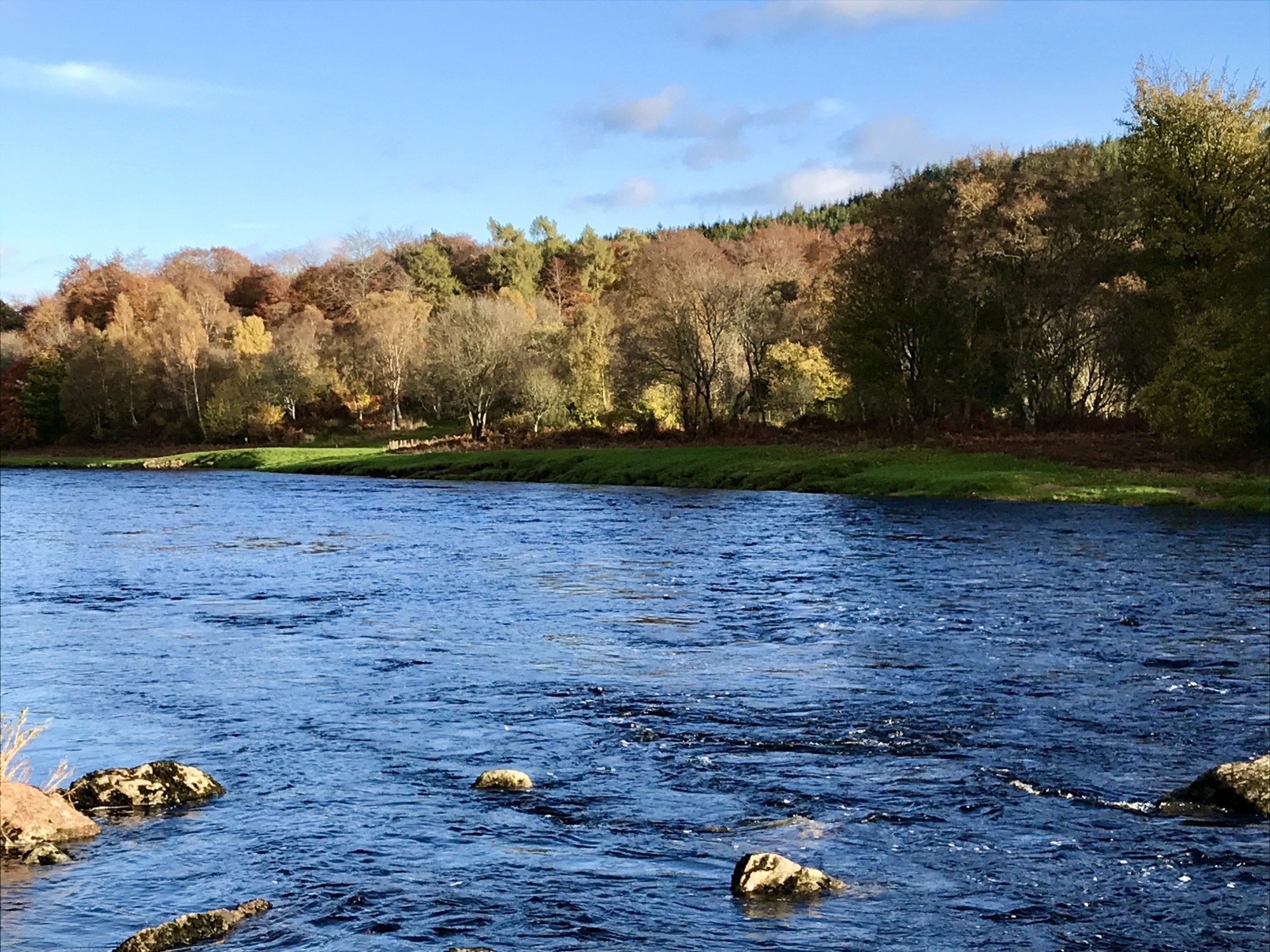 River Dee Salmon Fishing