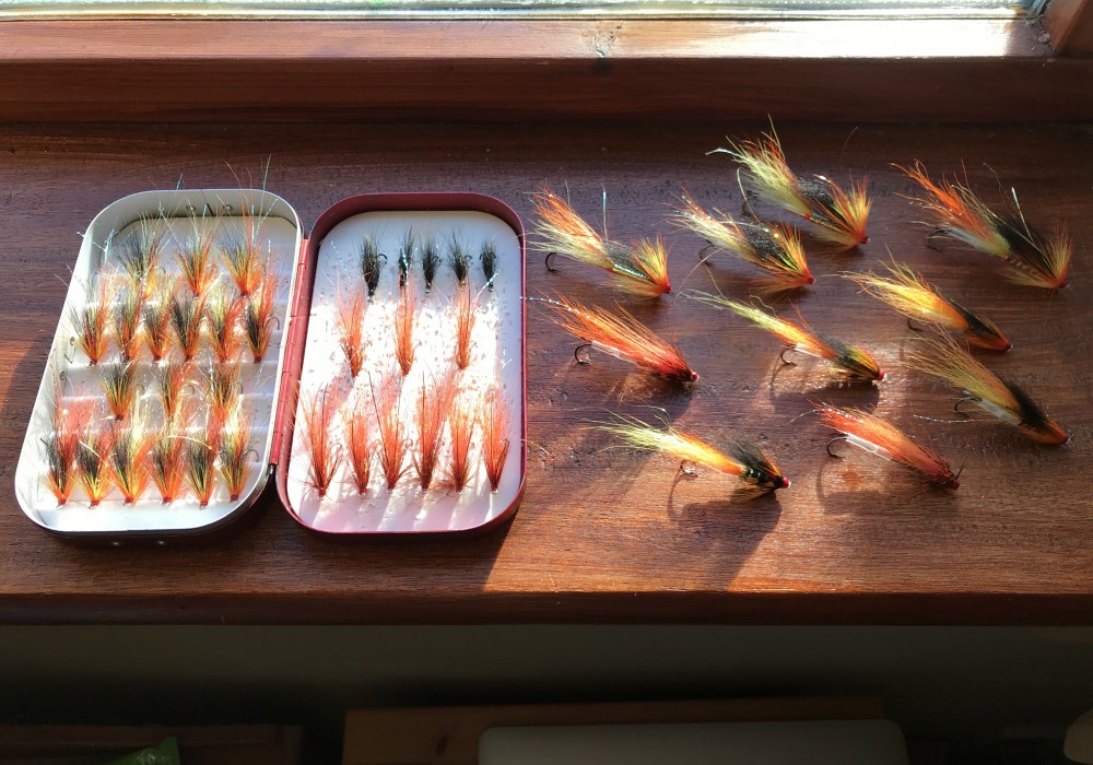 What Colour Of Salmon Fly To Use