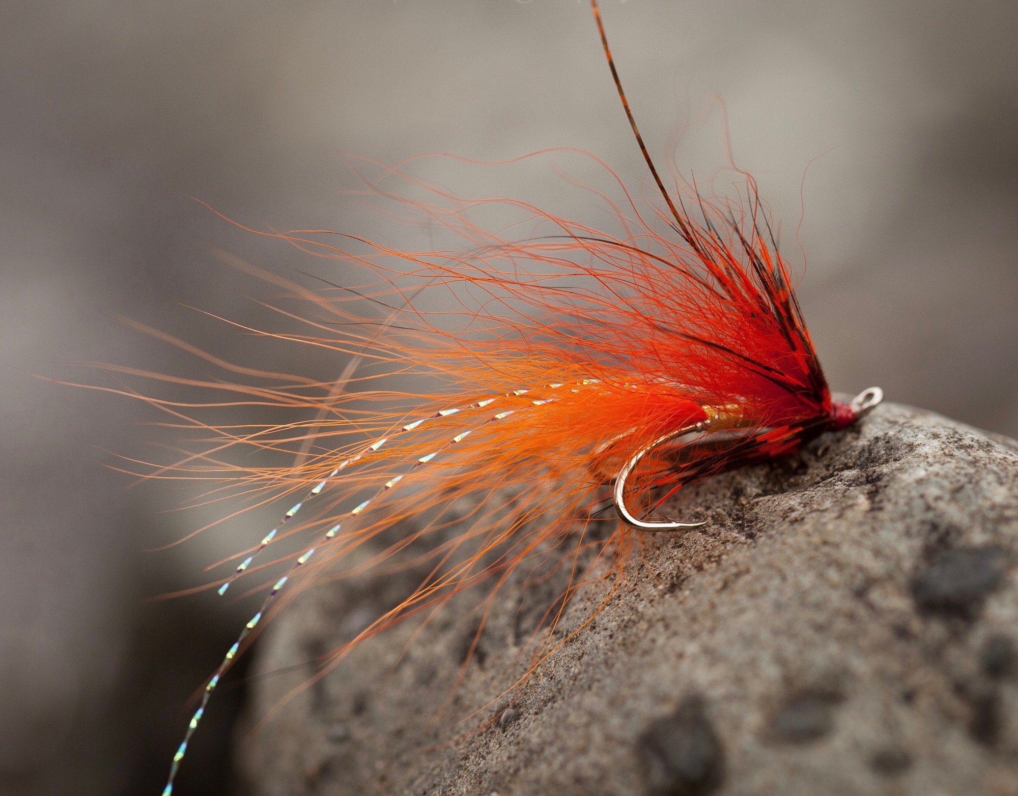 What Colour Of Salmon Fly To Use