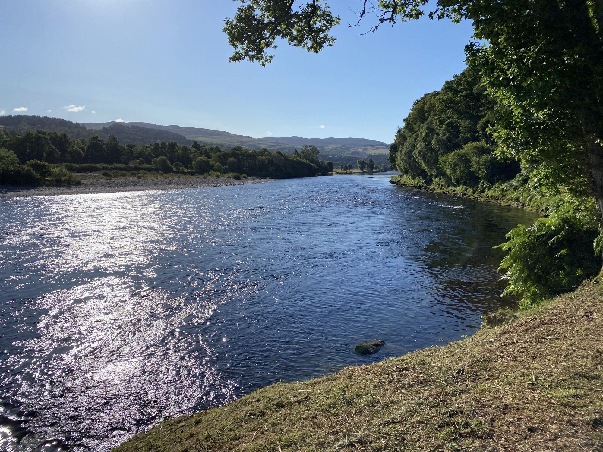 River Tay Salmon Fishing