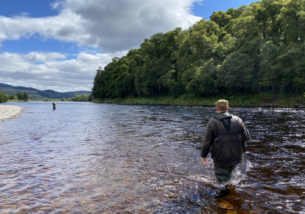 River Tay Salmon Fishing