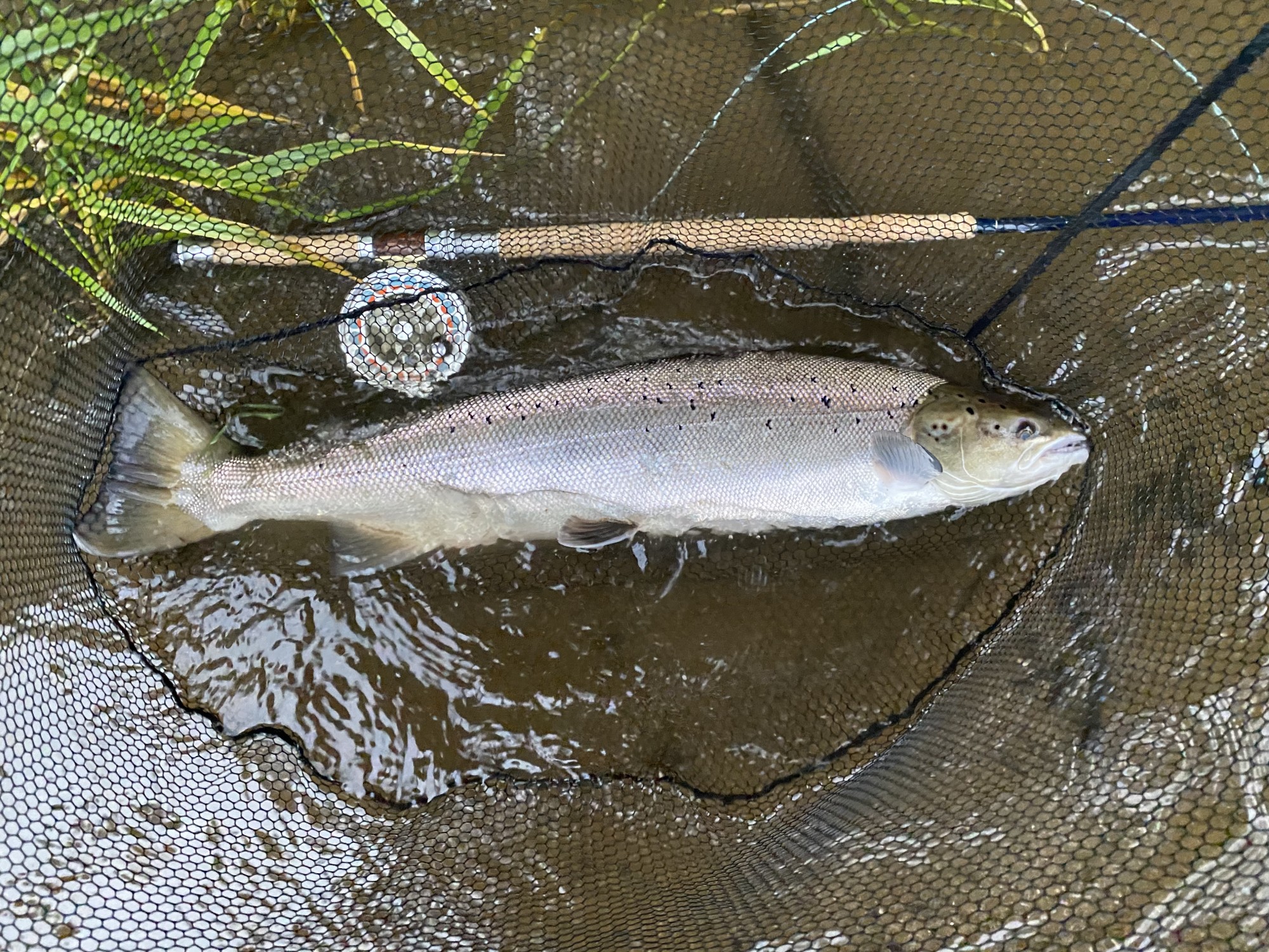 Fly Fishing In Scotland