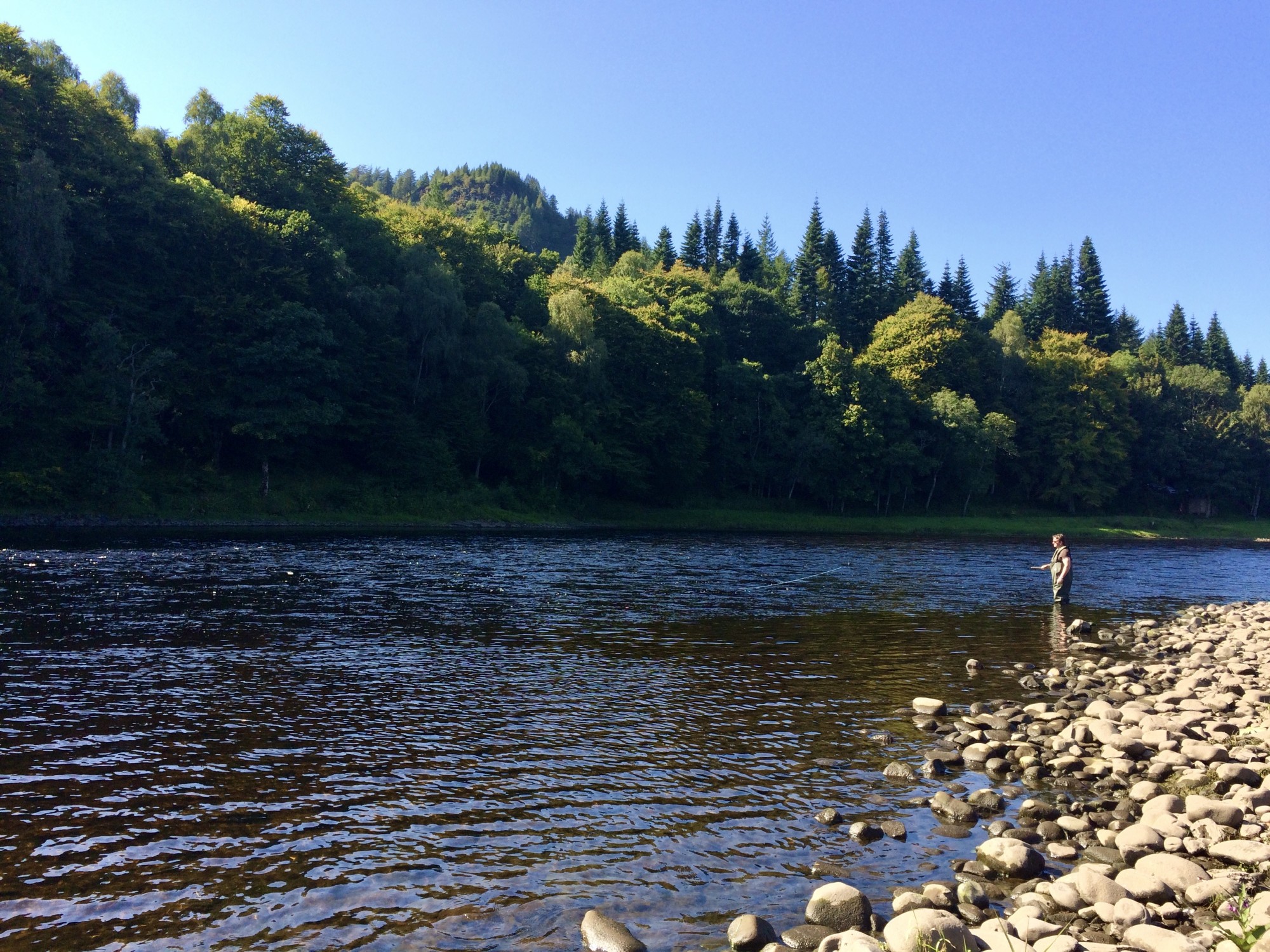 Where Can I Go Salmon Fishing In Scotland