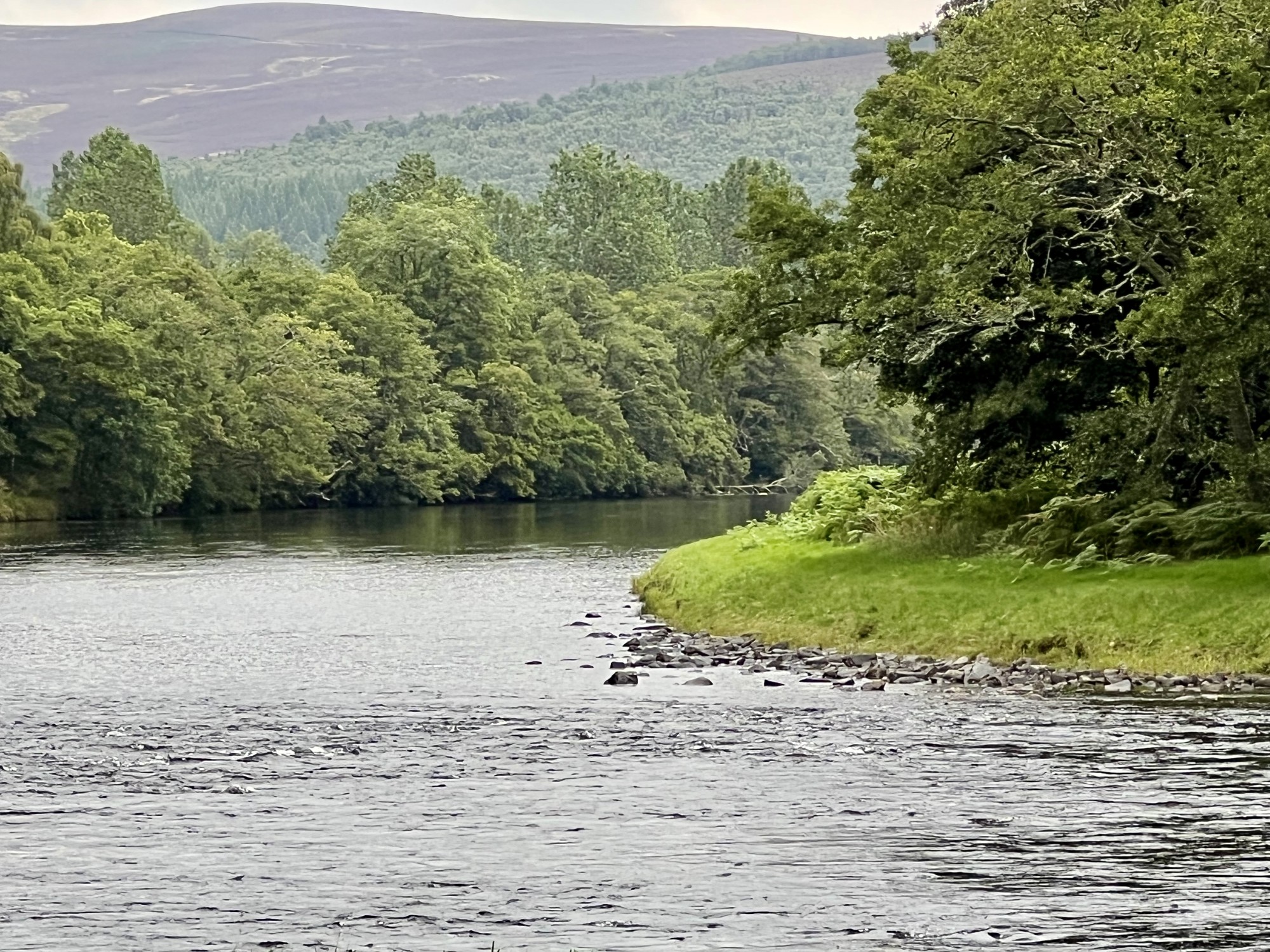 How To Book River Spey Salmon Fishing